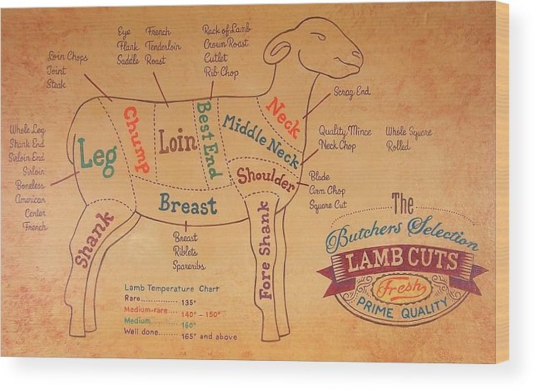 Lamb Meat Cuts Chart