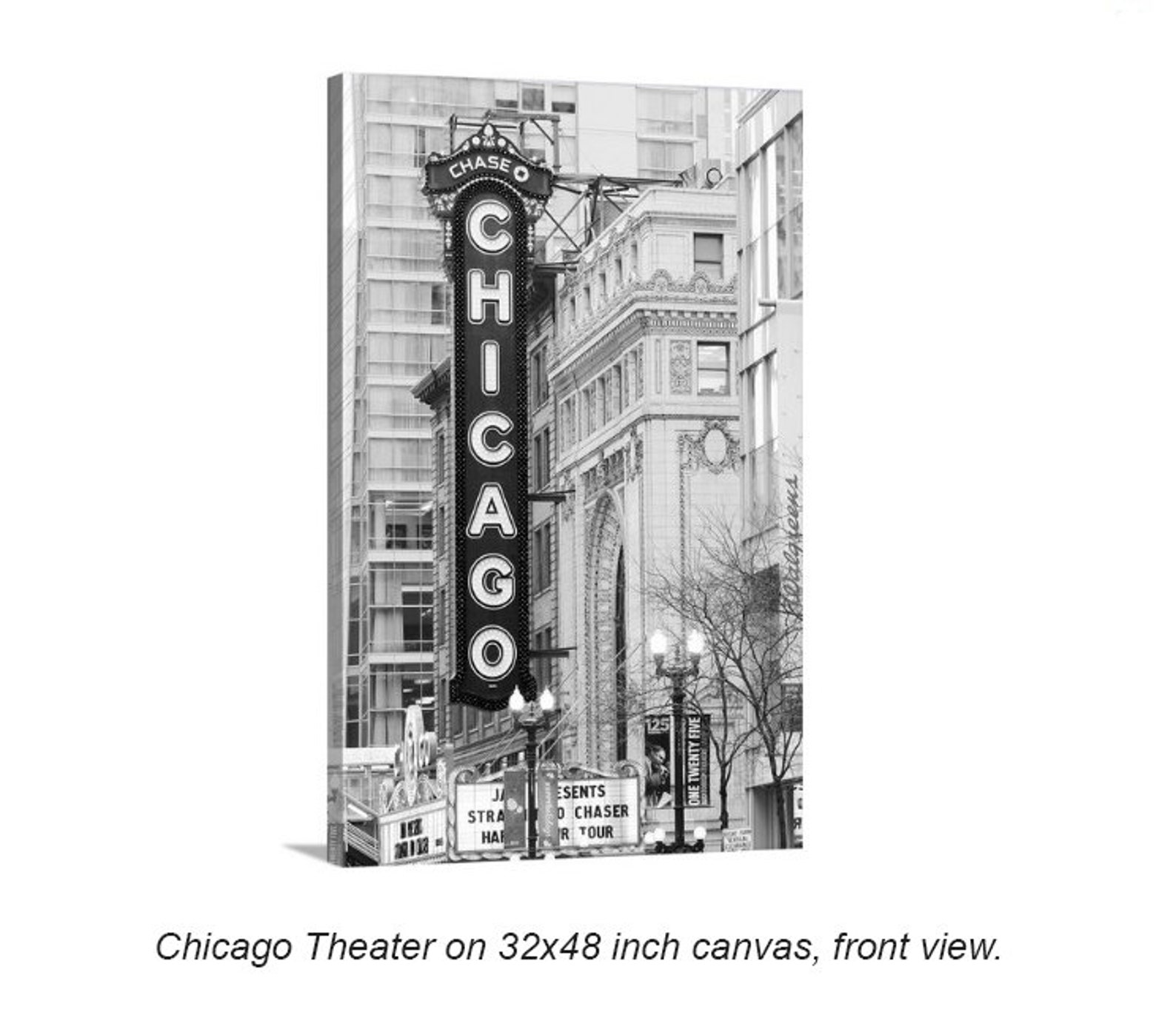 Chicago Print VERTICAL Chicago Theater Wall Art Black and - Etsy