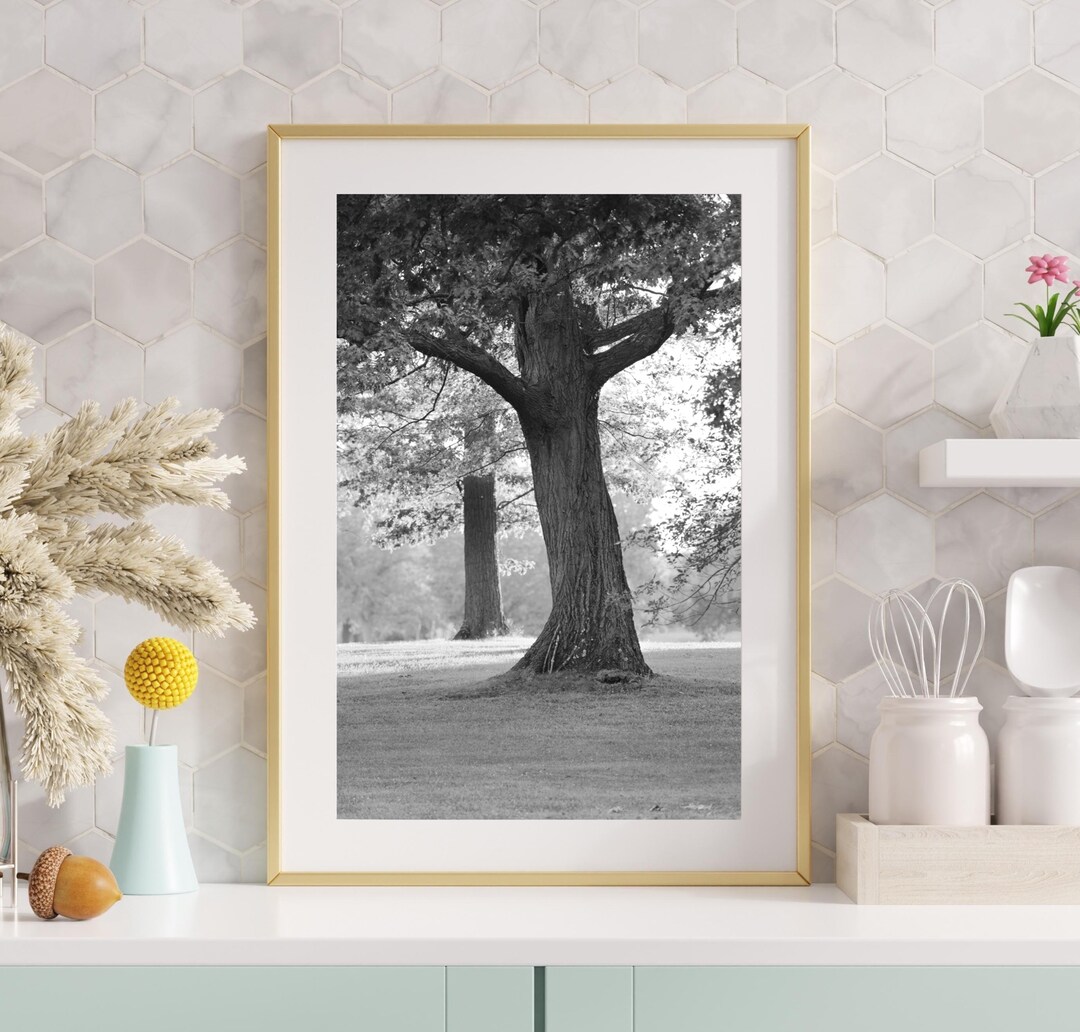 VERTICAL Oak Tree Photo Print, Tree Photography, Black and White Tree ...