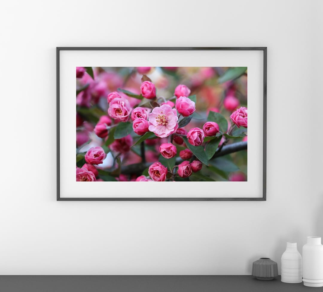 Blooming Brandywine Crabapple Tree Print, Pink Wall Art, Gift for Her ...