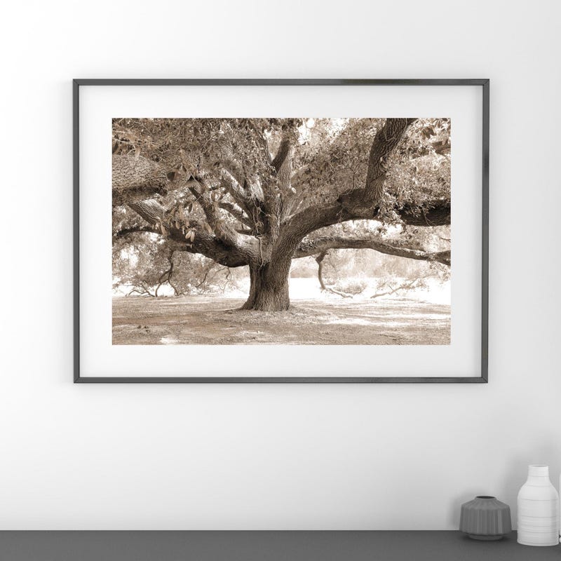 Sepia Tree - Etsy