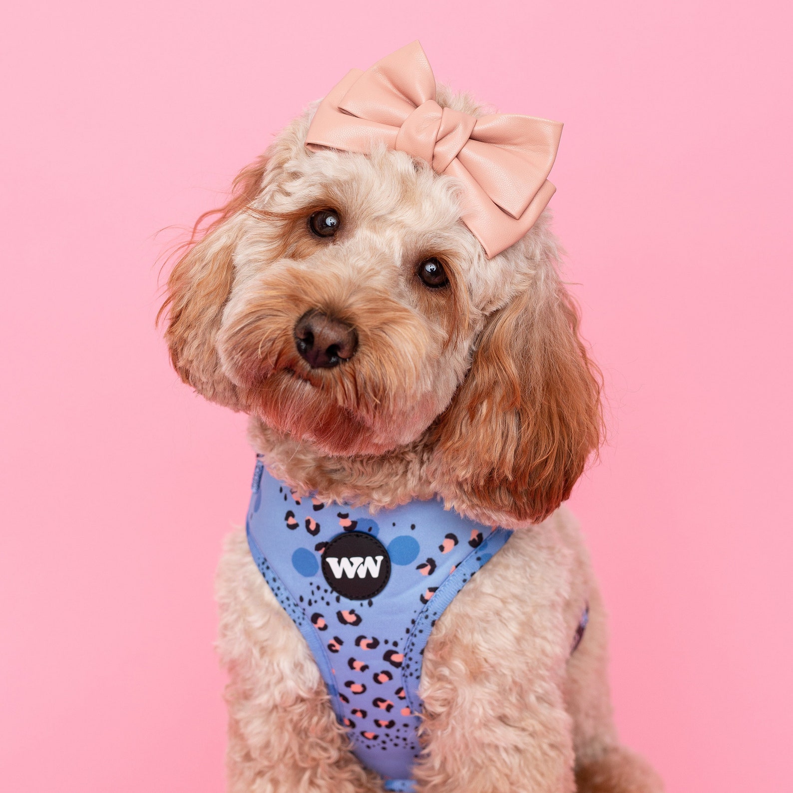 Leopard Print Adjustable Dog Harness Harness for Puppy | Etsy