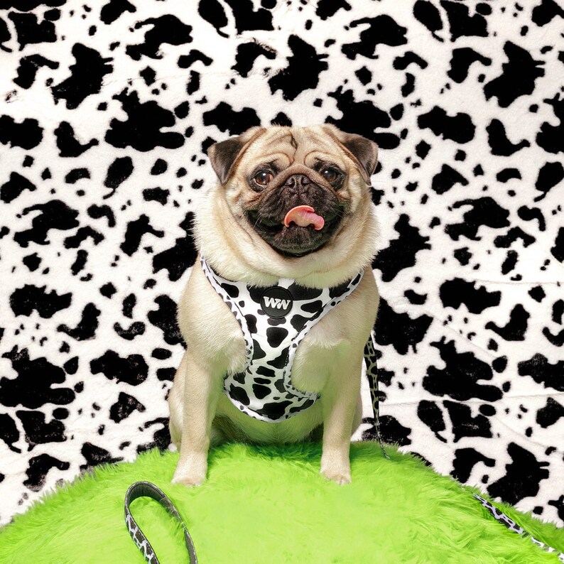 Cow Pattern Dog Harness for Boy or Girl Puppy, Cow Print Adjustable ...
