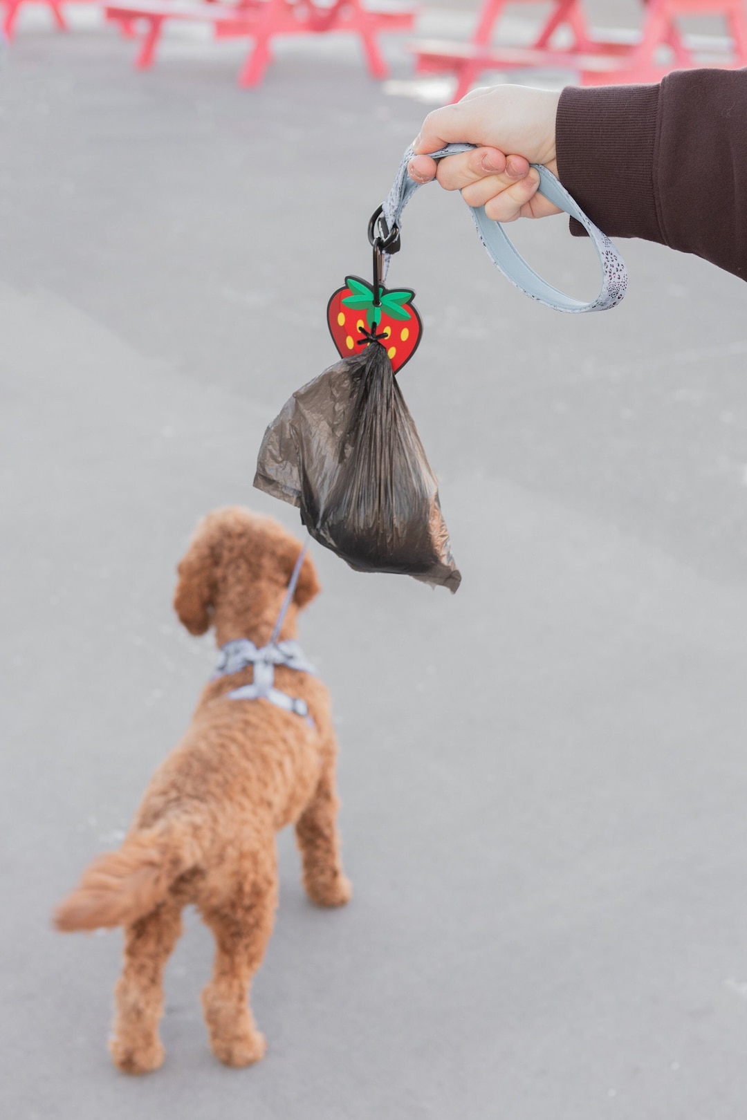 Strawberry Dog Poop Bag Holder Clip Hands Free Pet Waste Carrier ...