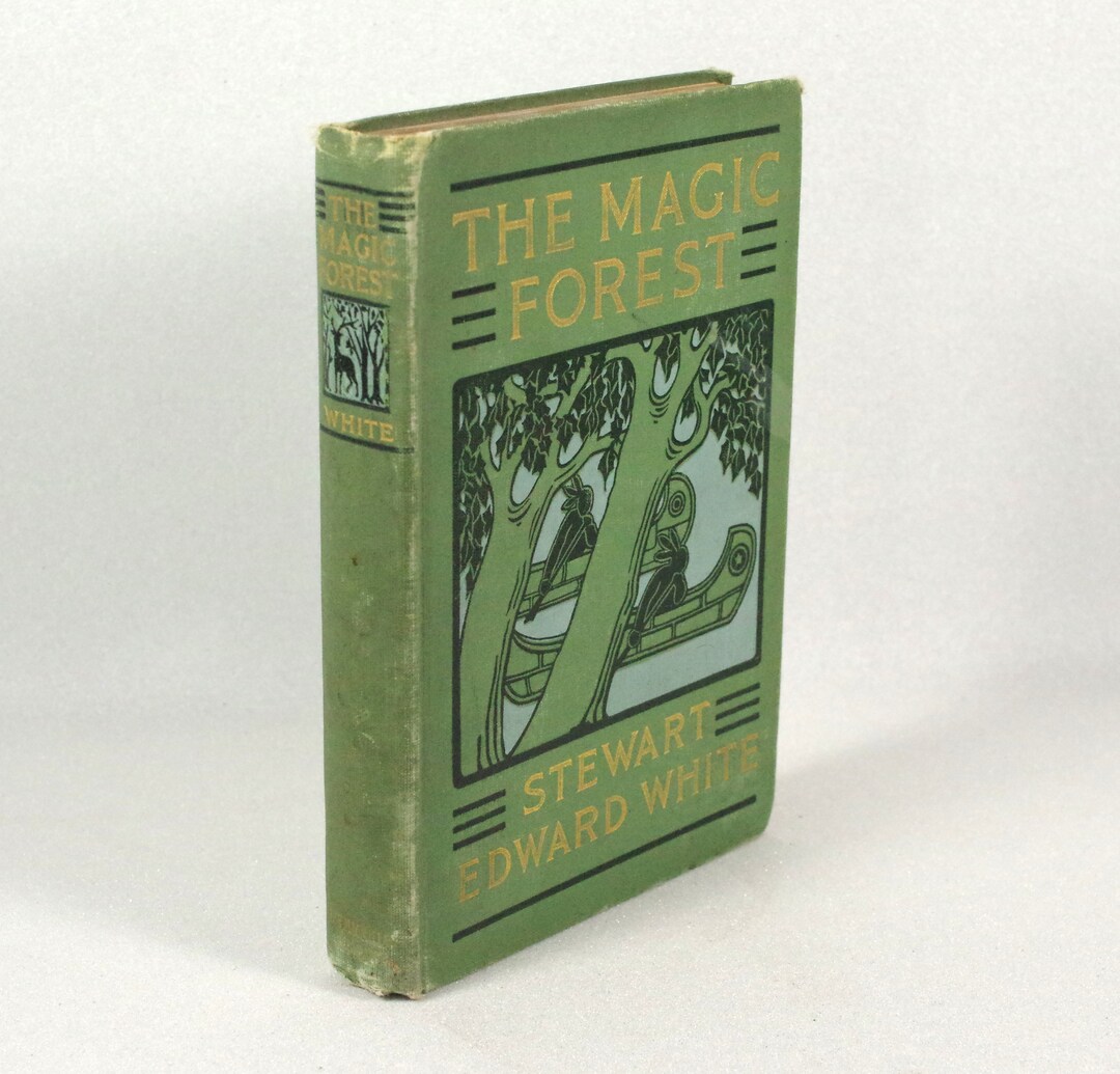Antique Book the Magic Forest A Modern Fairy Tale by Stewart Edward ...