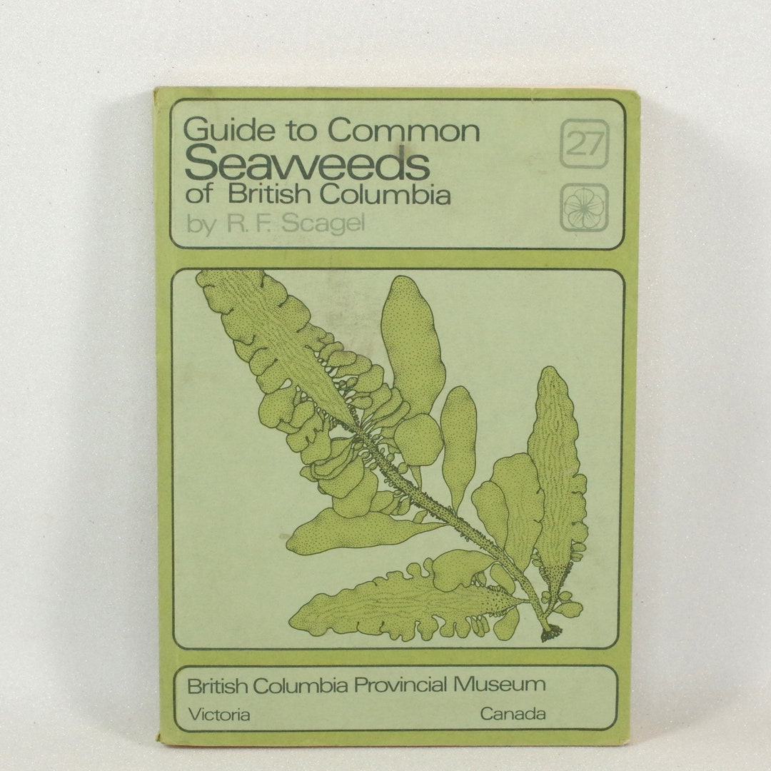 Guide to Common Seaweeds of British Columbia by R F Scagel, Illust by ...