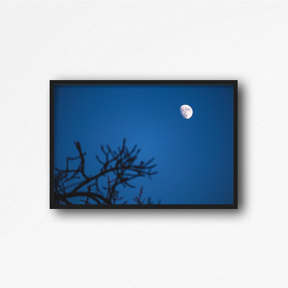 Blue Moon Print Moon Photography Moonrise Art - Etsy