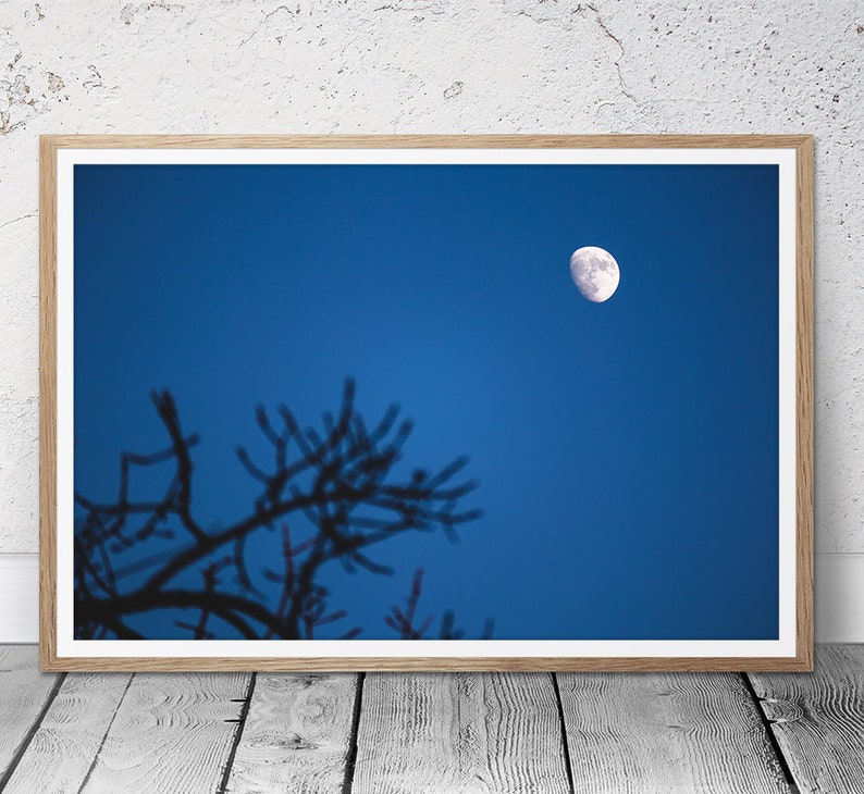 Blue Moon Print Moon Photography Moonrise Art - Etsy