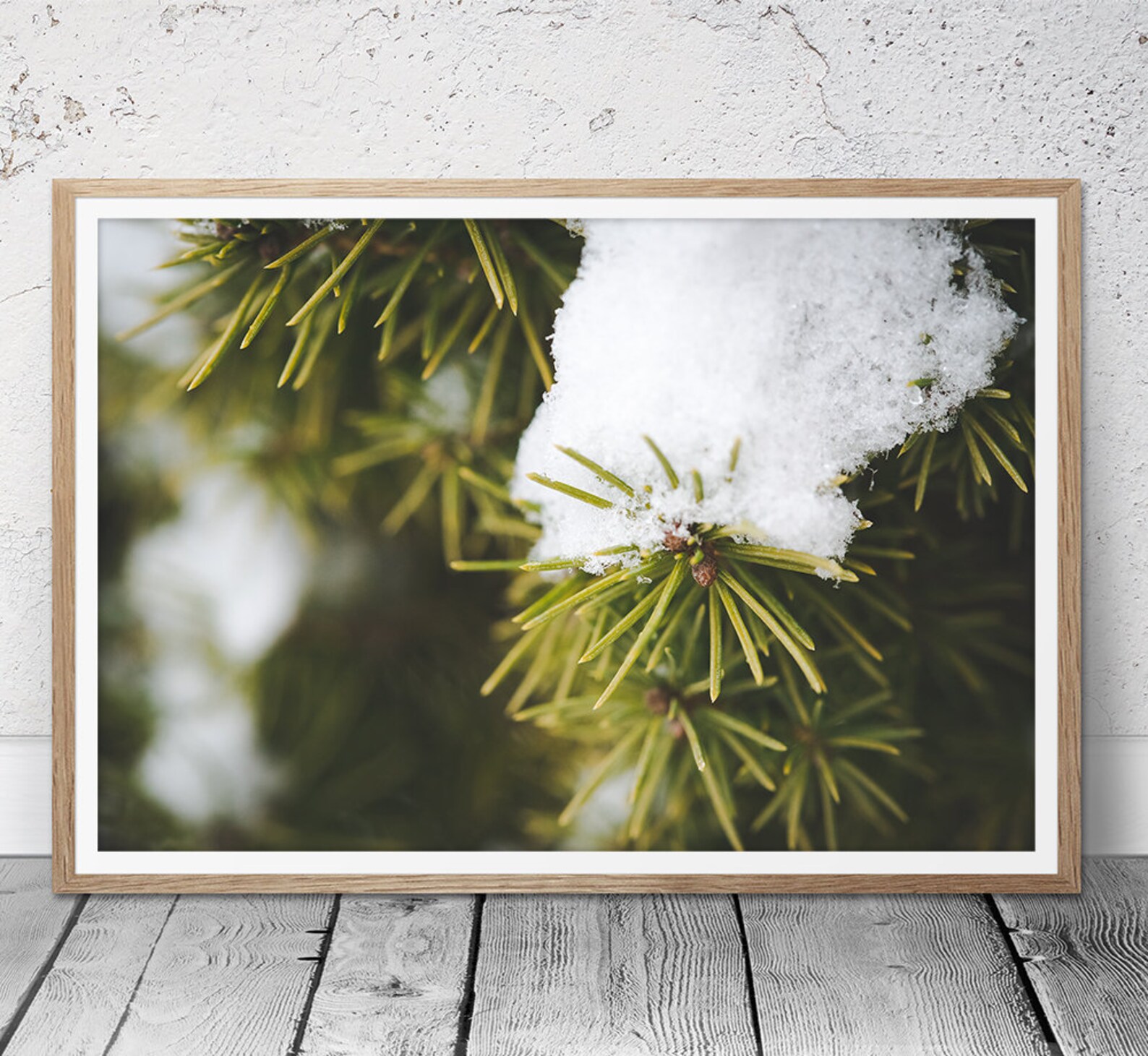 Evergreen Tree Print, Snowy Tree Photos, Winter Decor, Rustic Wall Art ...