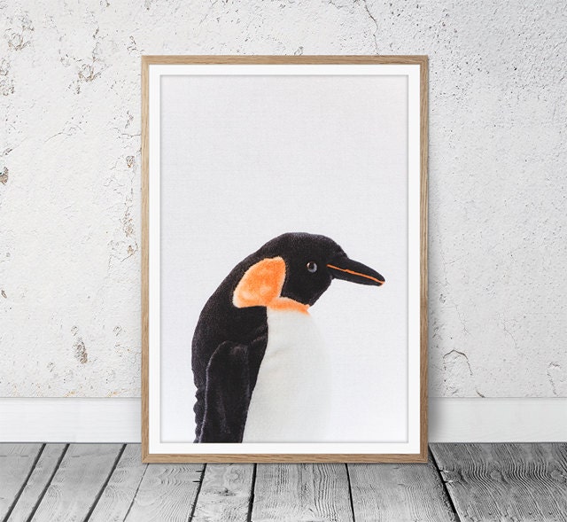Penguin Prints, Penguin Wall Art, Zoo Nursery Decor, Baby Nursery ...