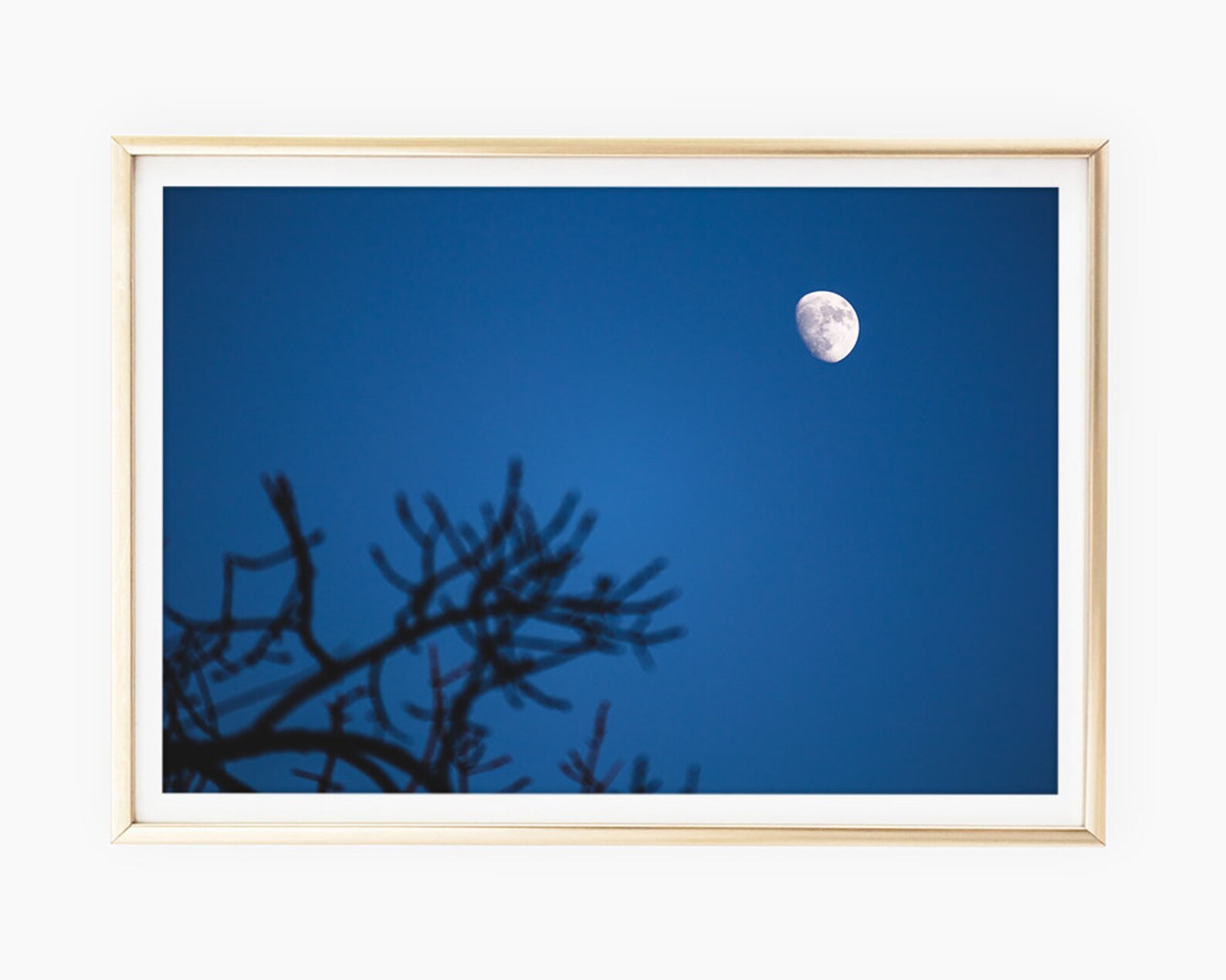 Blue Moon Print Moon Photography Moonrise Art - Etsy