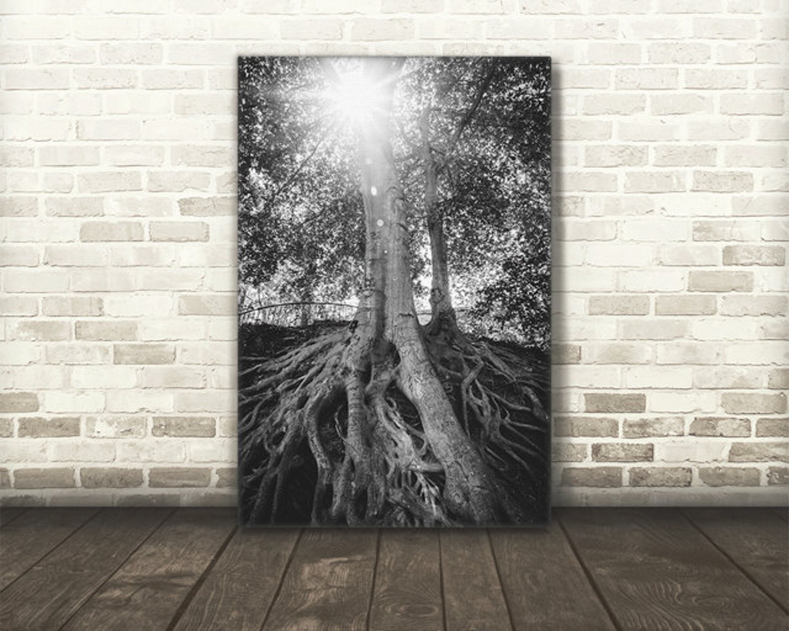 Print Download, Root Tree Medusa Tree, Greenville SC, Falls Park, South ...