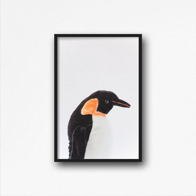 Penguin Prints, Penguin Wall Art, Zoo Nursery Decor, Baby Nursery ...