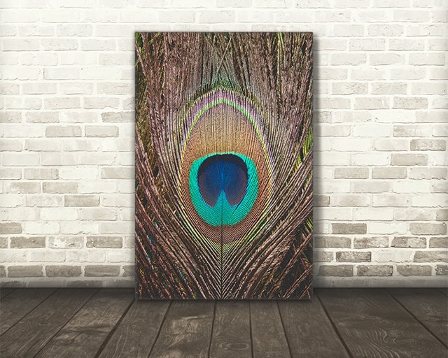 Peacock Prints Download, Peacock Feather Photos, Rustic Nature Decor ...