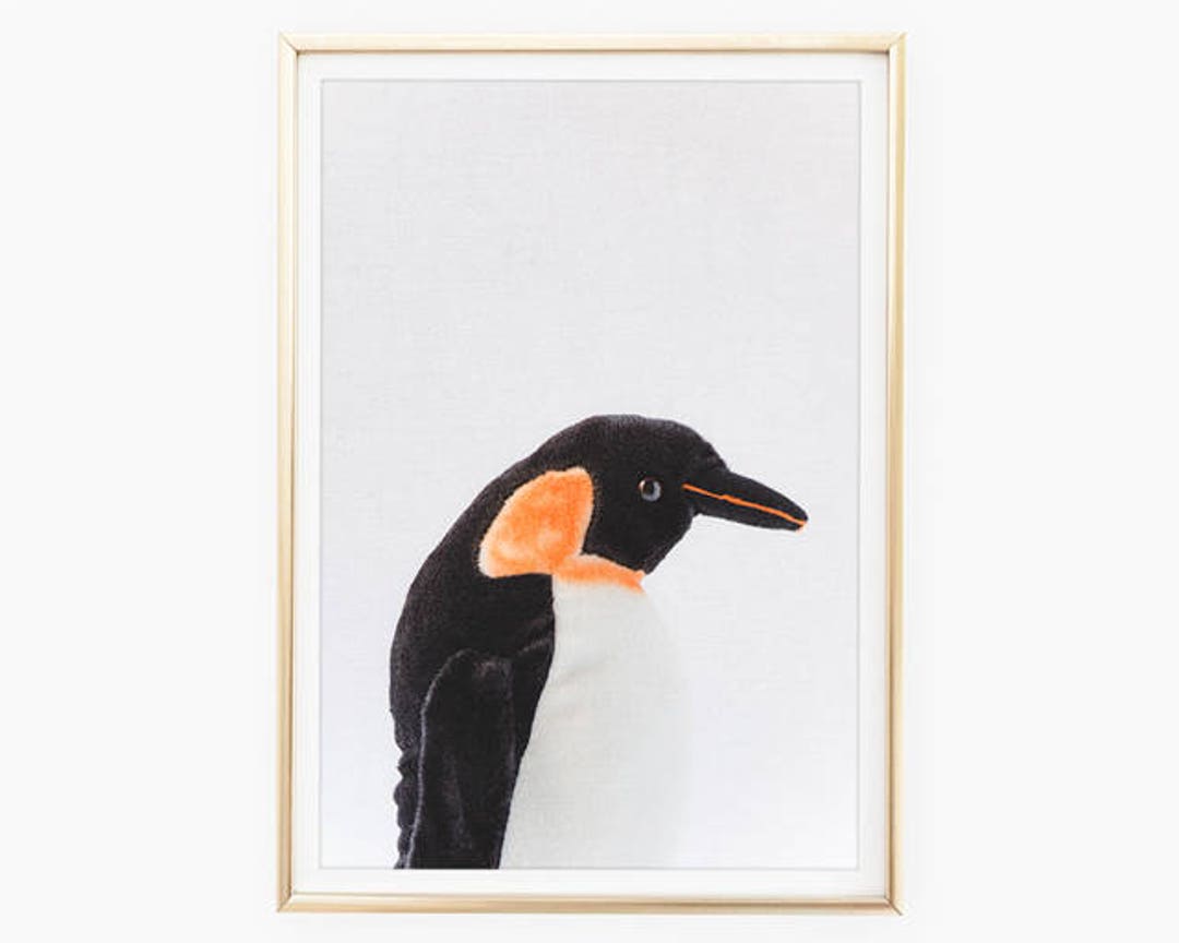 Penguin Prints, Penguin Wall Art, Zoo Nursery Decor, Baby Nursery ...