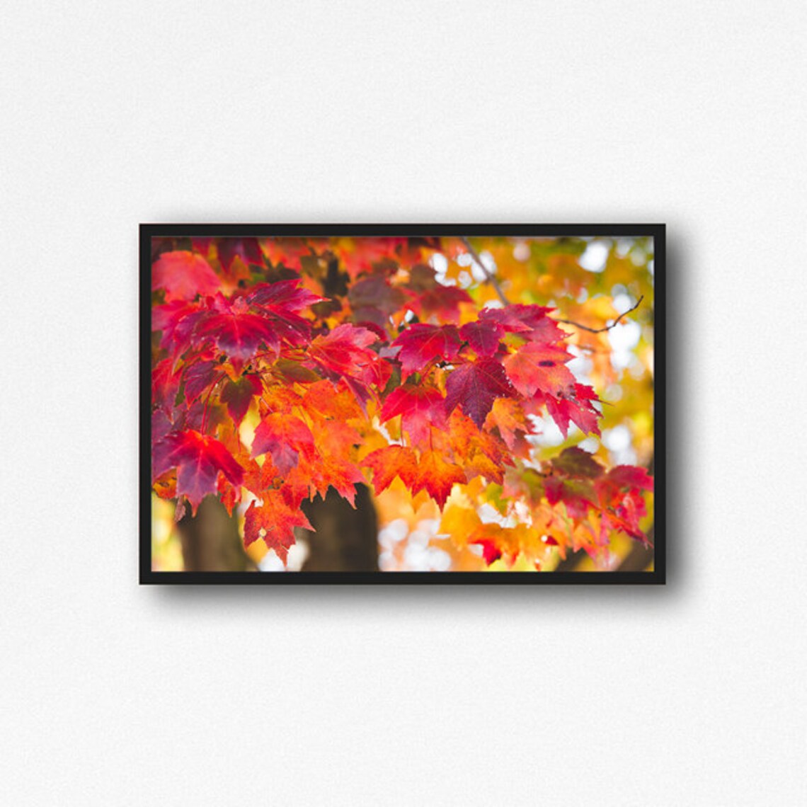 Autumn Print Download, Fall Leaves Photo, Fall Decor Prints, Fall Tree ...