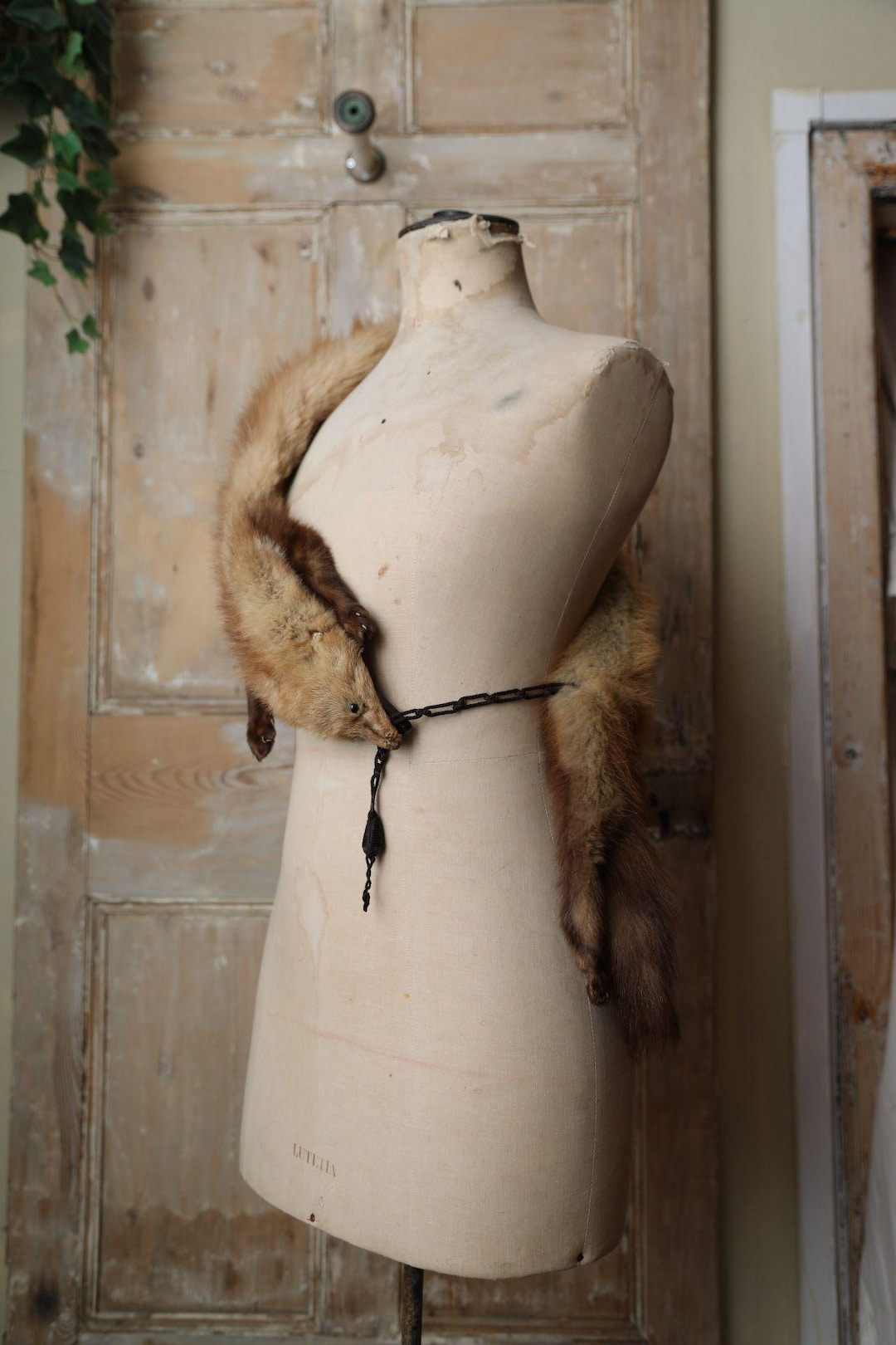Vintage 1930s Stoat Fur Scarf Elegant Fur Wrap - Etsy