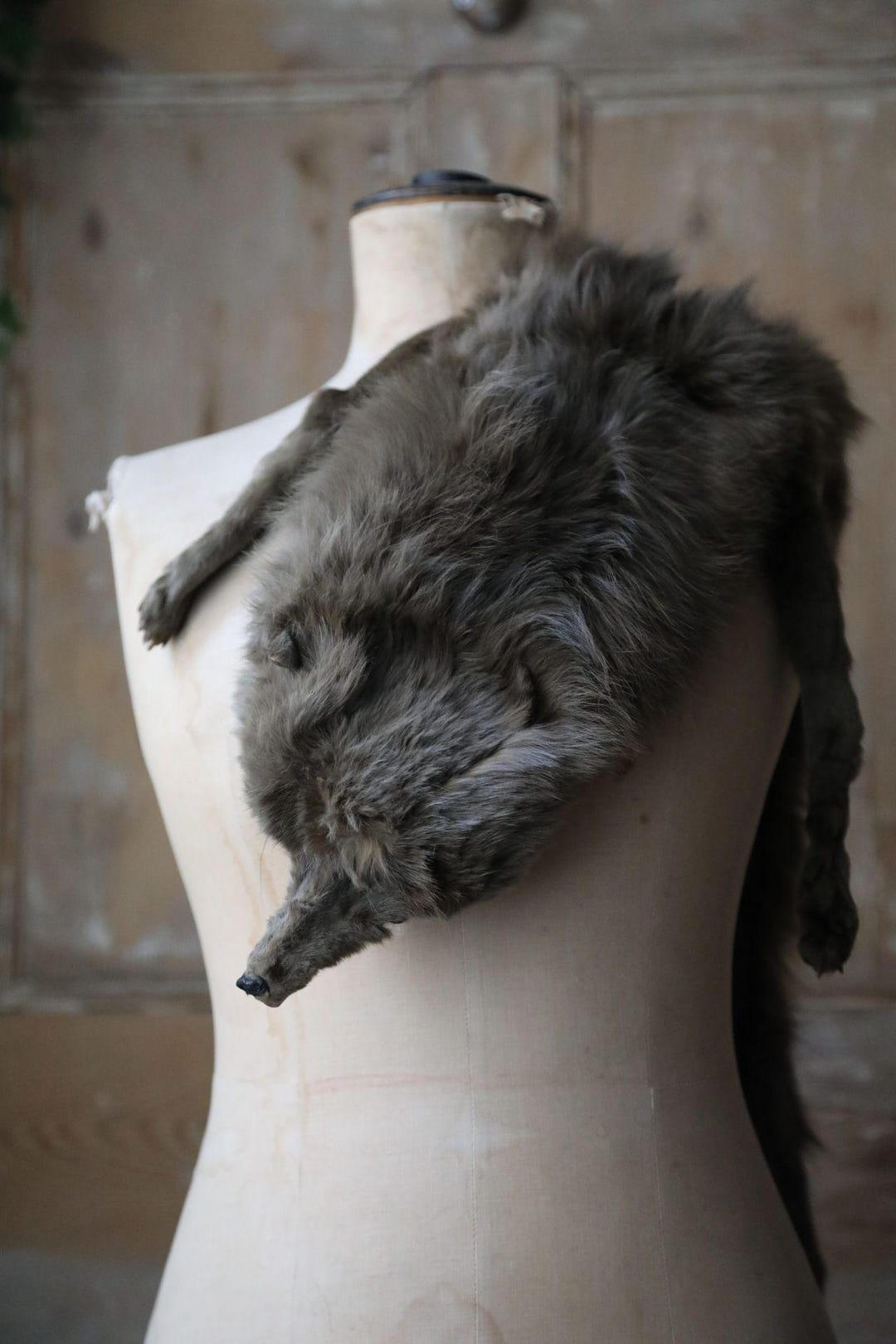 Vintage 1920s Fox Fur Stole Grey Elegant Shoulder Wrap - Etsy