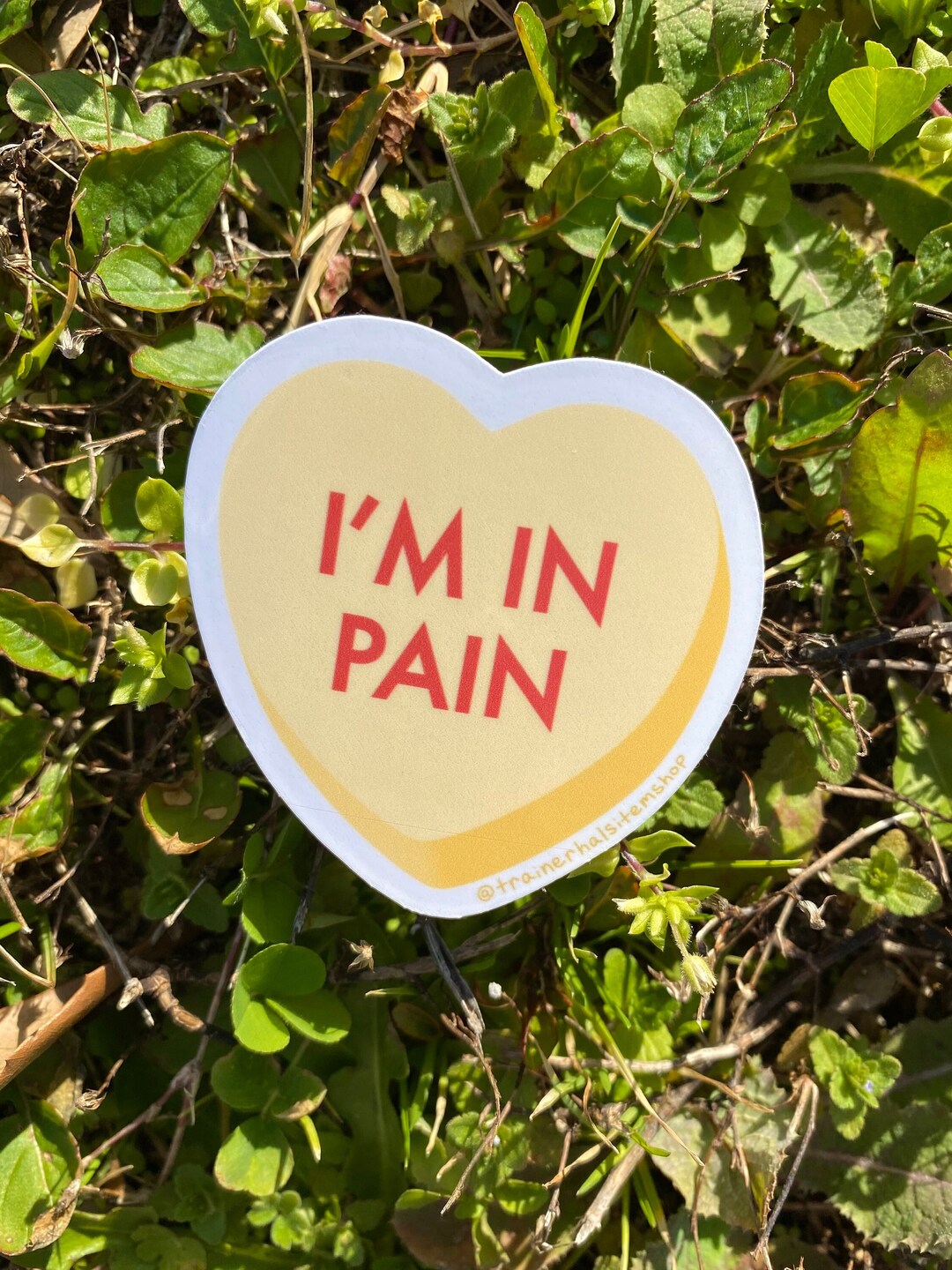 I’m in Pain Sticker Valentines Conversation Heart Candy Decal ...