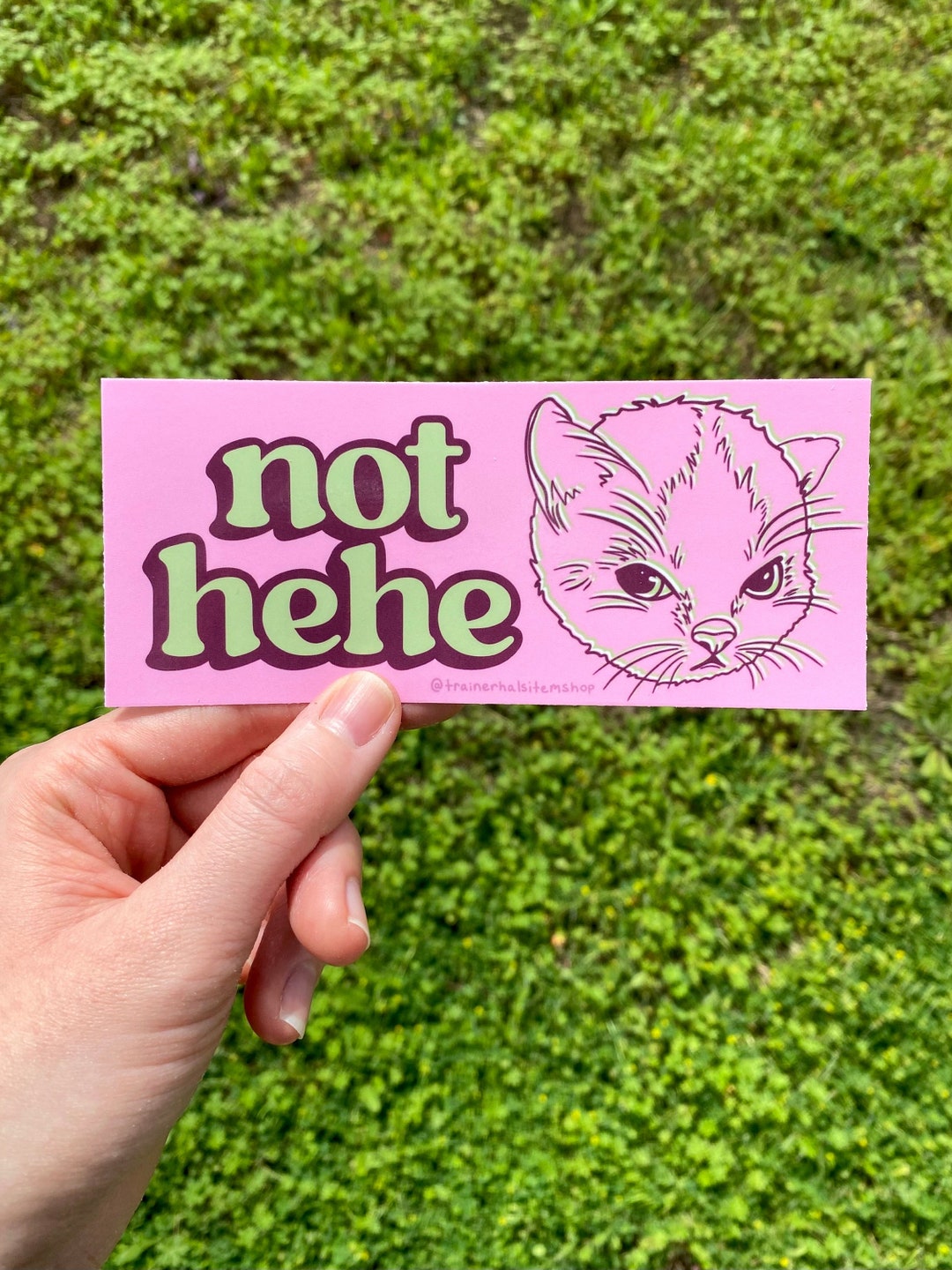 Not Hehe Bumper Sticker Cat Meme Car Decal Internet Webcore ...