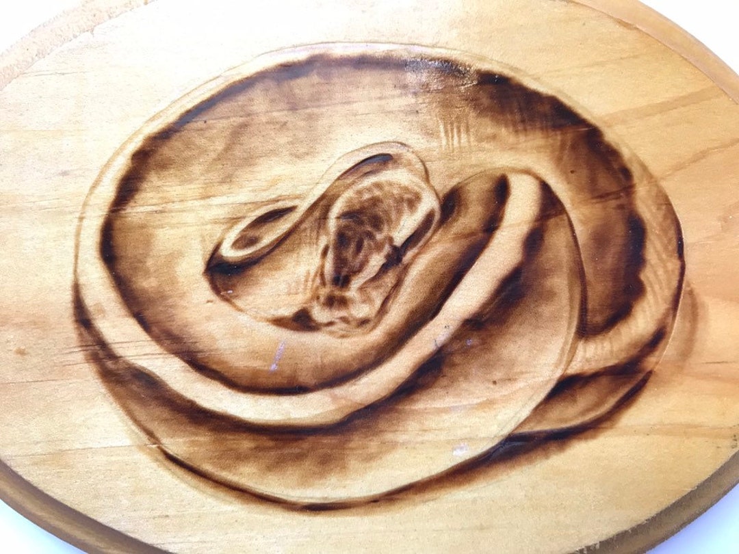 Hand-burned Ball Python on Pine - Etsy