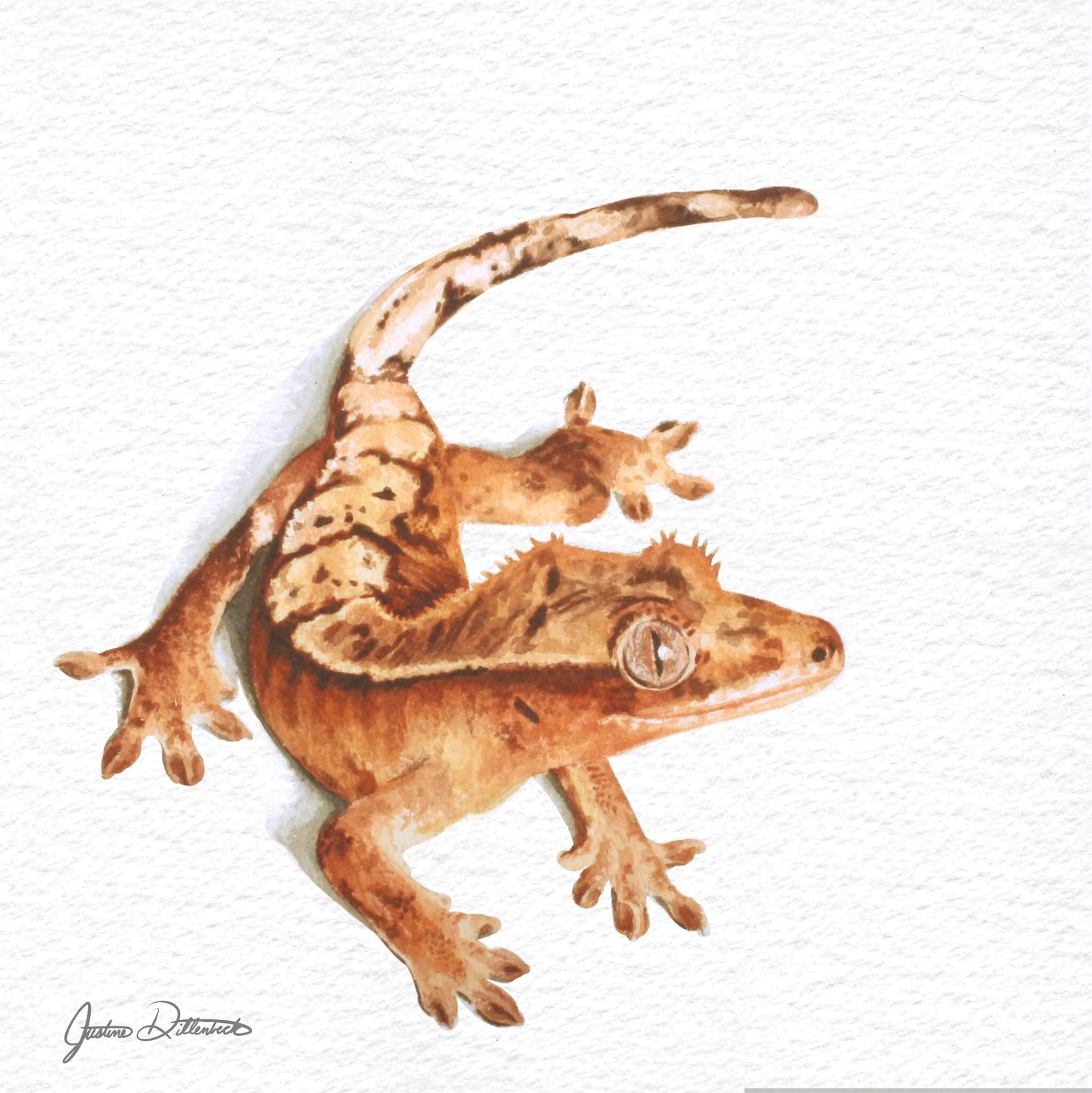 Gecko Watercolor Prints | Etsy