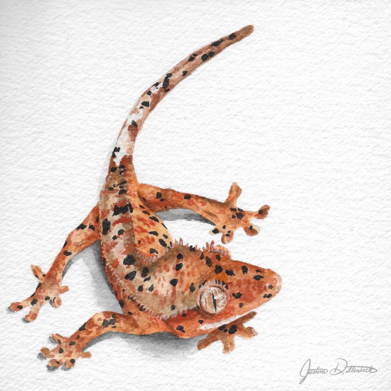 Gecko Watercolor Prints | Etsy