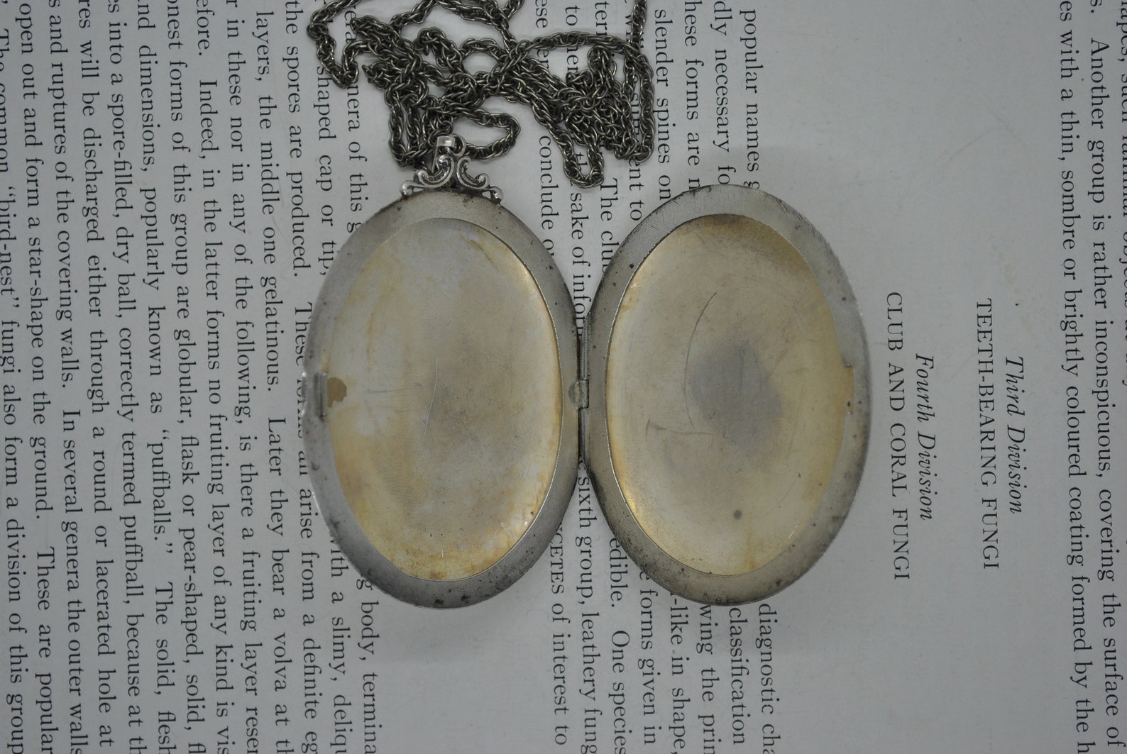 Vintage Sterling Locket Massive Swan Locket 1950s Classic | Etsy