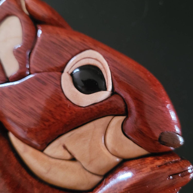 Blood Wood Squirrel Intarsia - Etsy