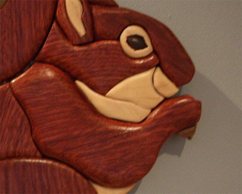 Blood Wood Squirrel Intarsia | Etsy