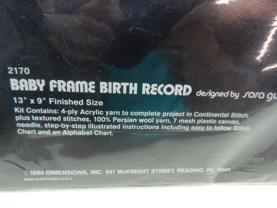 Plastic Canvas Baby Frame Birth Record 13 x 9 | Etsy