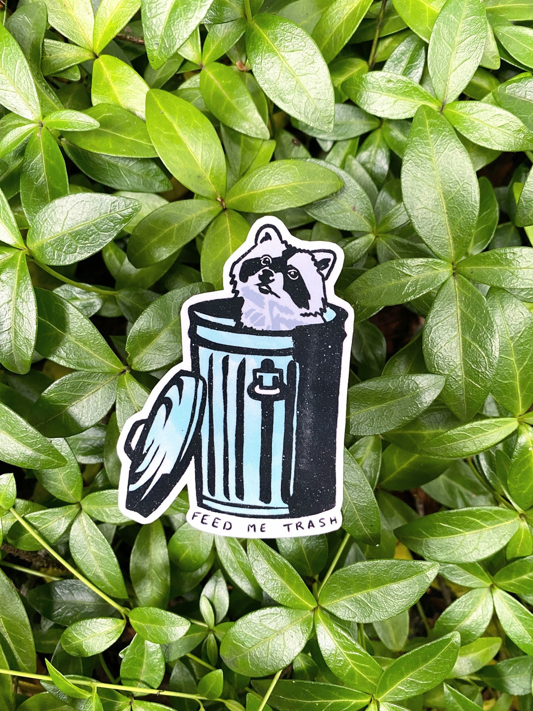 Raccoon in Trash Can | Trash Panda | Feed Me Trash | Funny Cute Animal ...