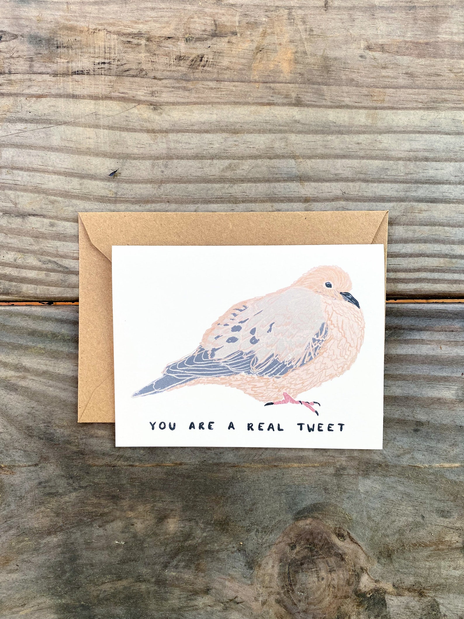 You Are A Real Tweet | Bird Greeting Card | Mourning Dove Card | Funny ...