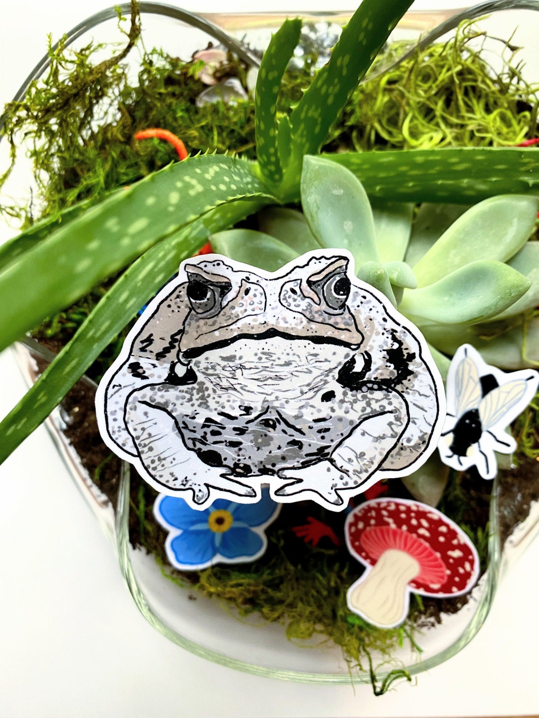 Toad Vinyl Sticker for Water Bottle | Backyard Wildlife | for Him ...