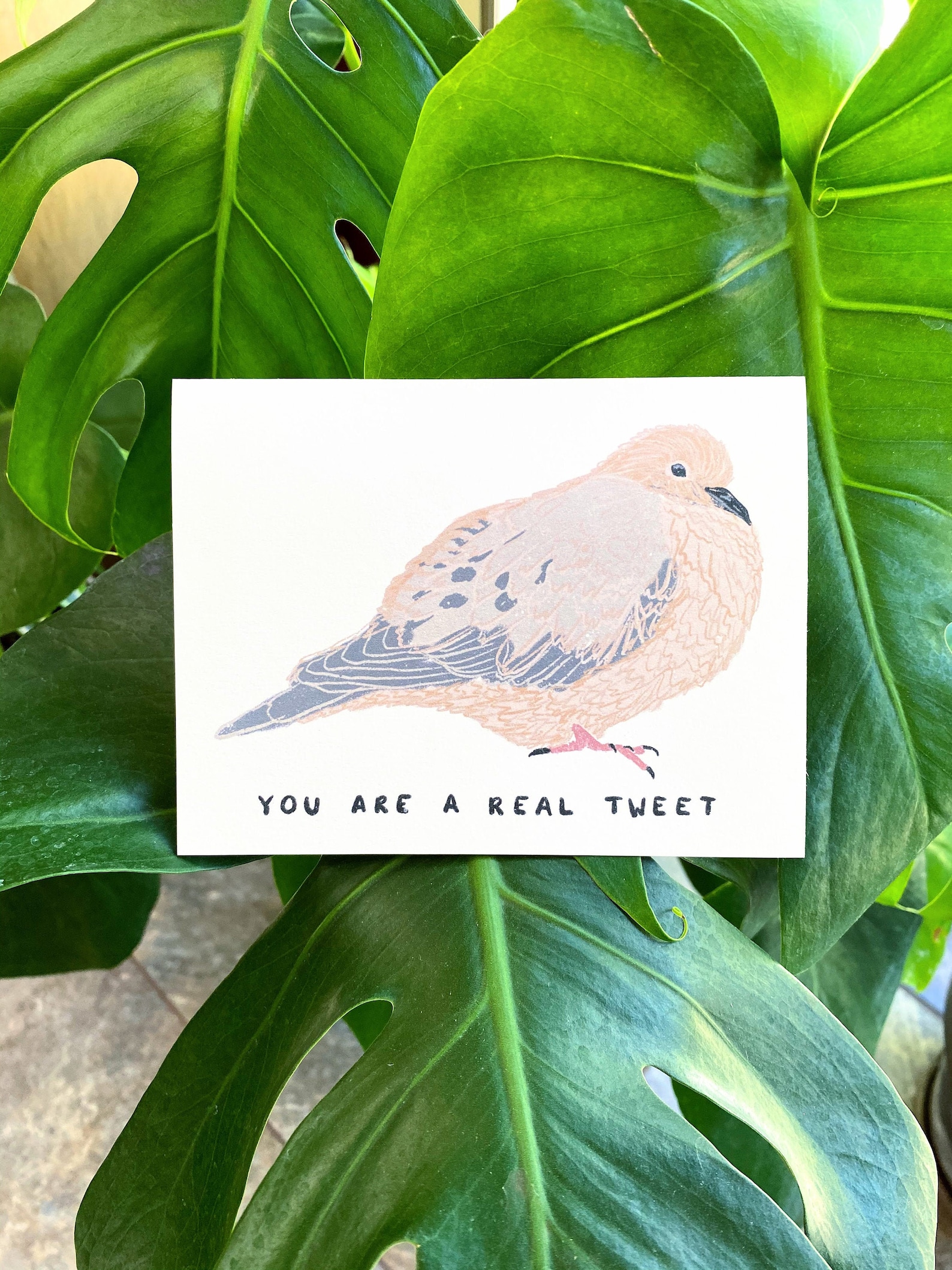 You Are A Real Tweet | Bird Greeting Card | Mourning Dove Card | Funny ...