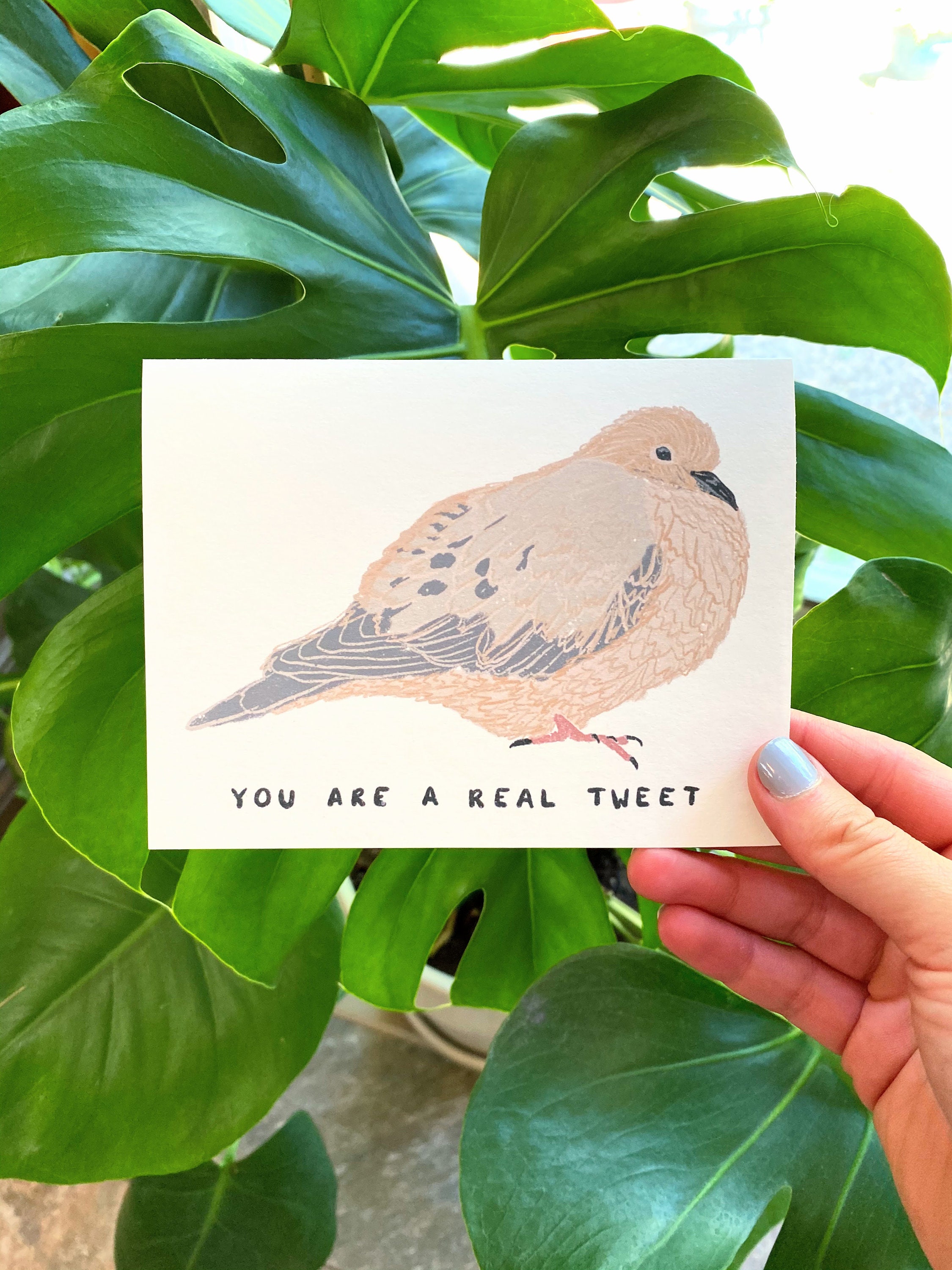You Are A Real Tweet | Bird Greeting Card | Mourning Dove Card | Funny ...