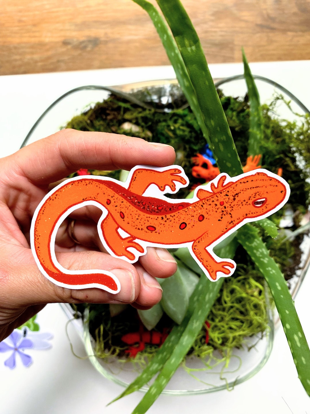 Red Newt Vinyl Sticker Set Red Spotted Newt Laminated - Etsy
