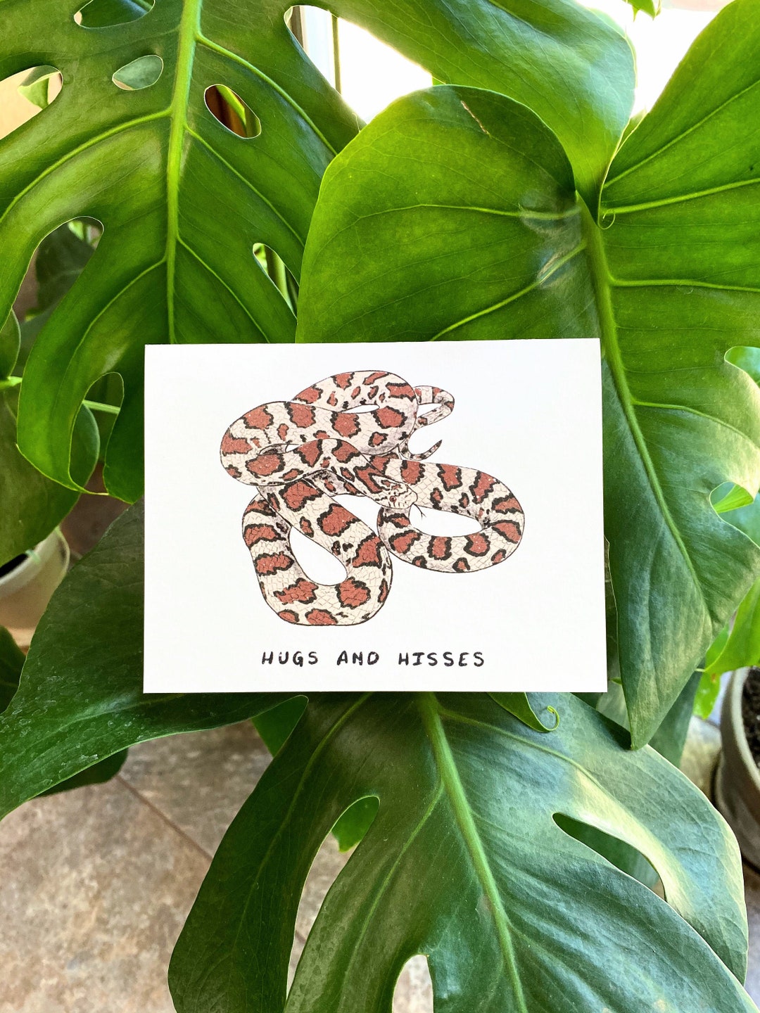 Snake Greeting Card | Hugs and Hisses Blank Notecard | Ohio Wildlife ...