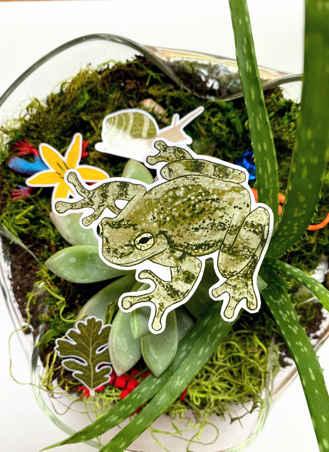 Green Vinyl Frog Sticker | Waterproof Backyard Wildlife | Tree Frog ...