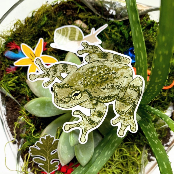 Green Frog Sticker - Etsy