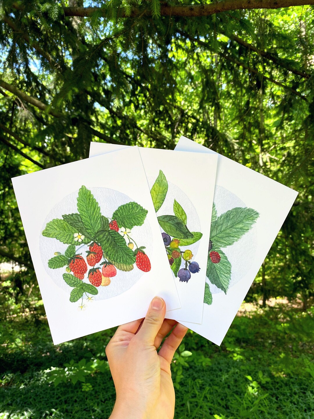Summer Berry Watercolor Prints | Strawberry, Blueberry, Blackberries ...