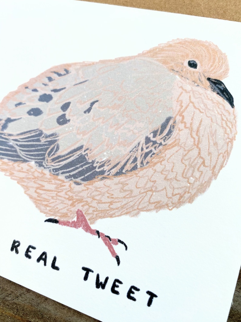 You Are A Real Tweet | Bird Greeting Card | Mourning Dove Card | Funny ...