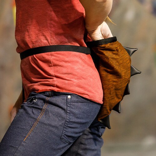 Crimp Chimps Original Friendly Dinosaur Tail Chalk Bag - Etsy