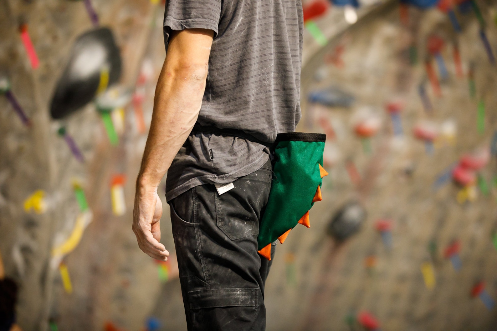 Crimp Chimps Original Friendly Dinosaur Tail Chalk Bag - Etsy