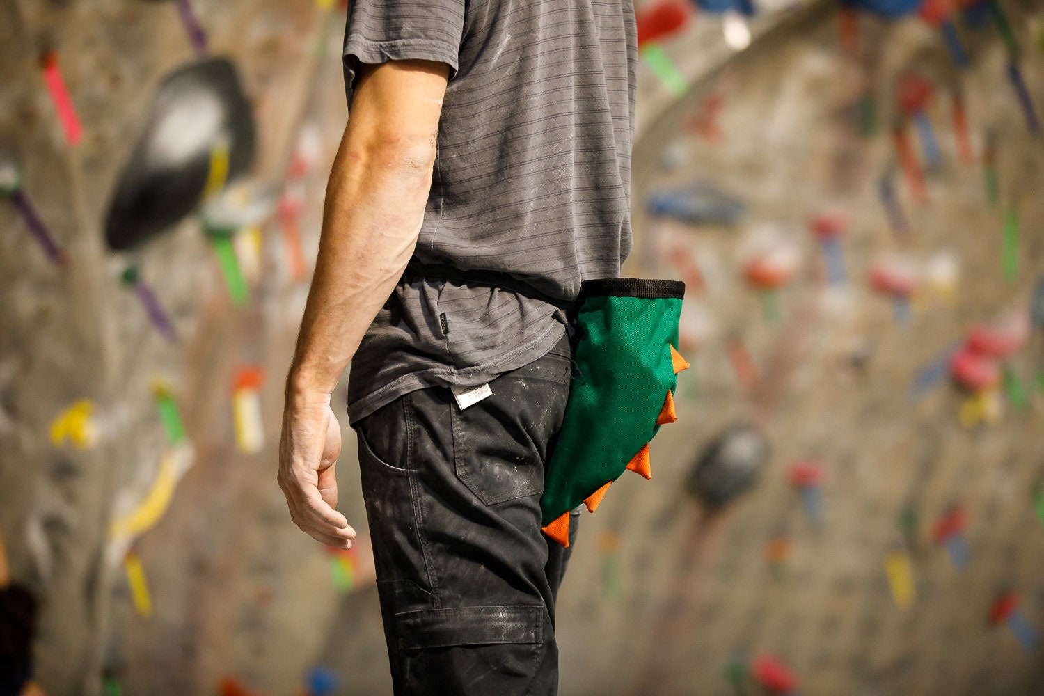 Crimp Chimps Original Friendly Dinosaur Tail Chalk Bag | Etsy