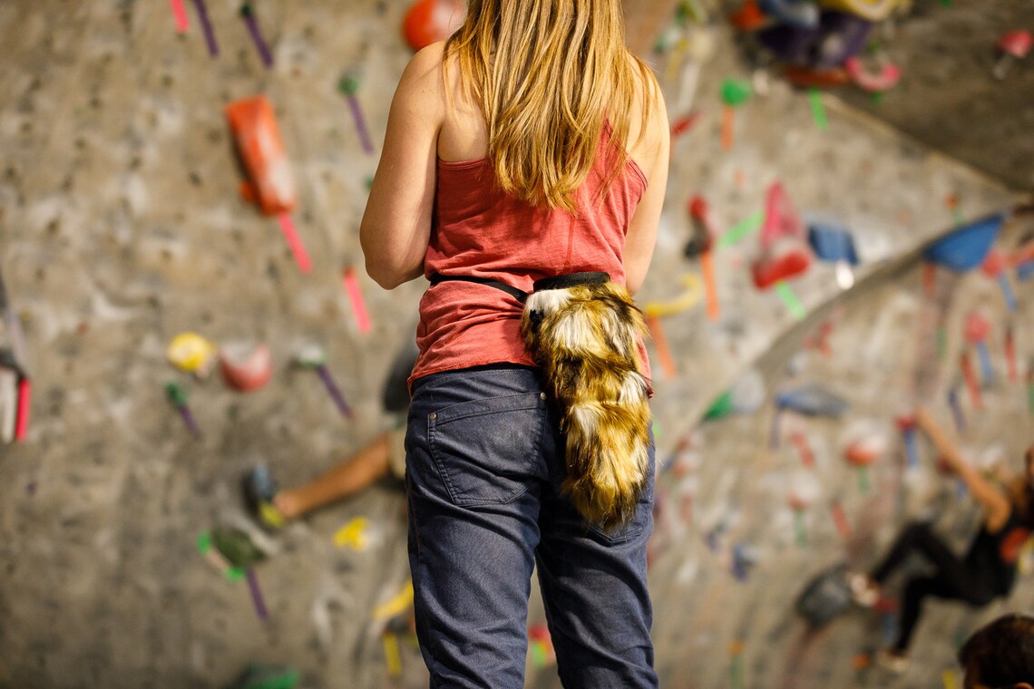 Crimp Chimps Original Calico Cat Tail Stuffed Animal Chalk Bag | Etsy