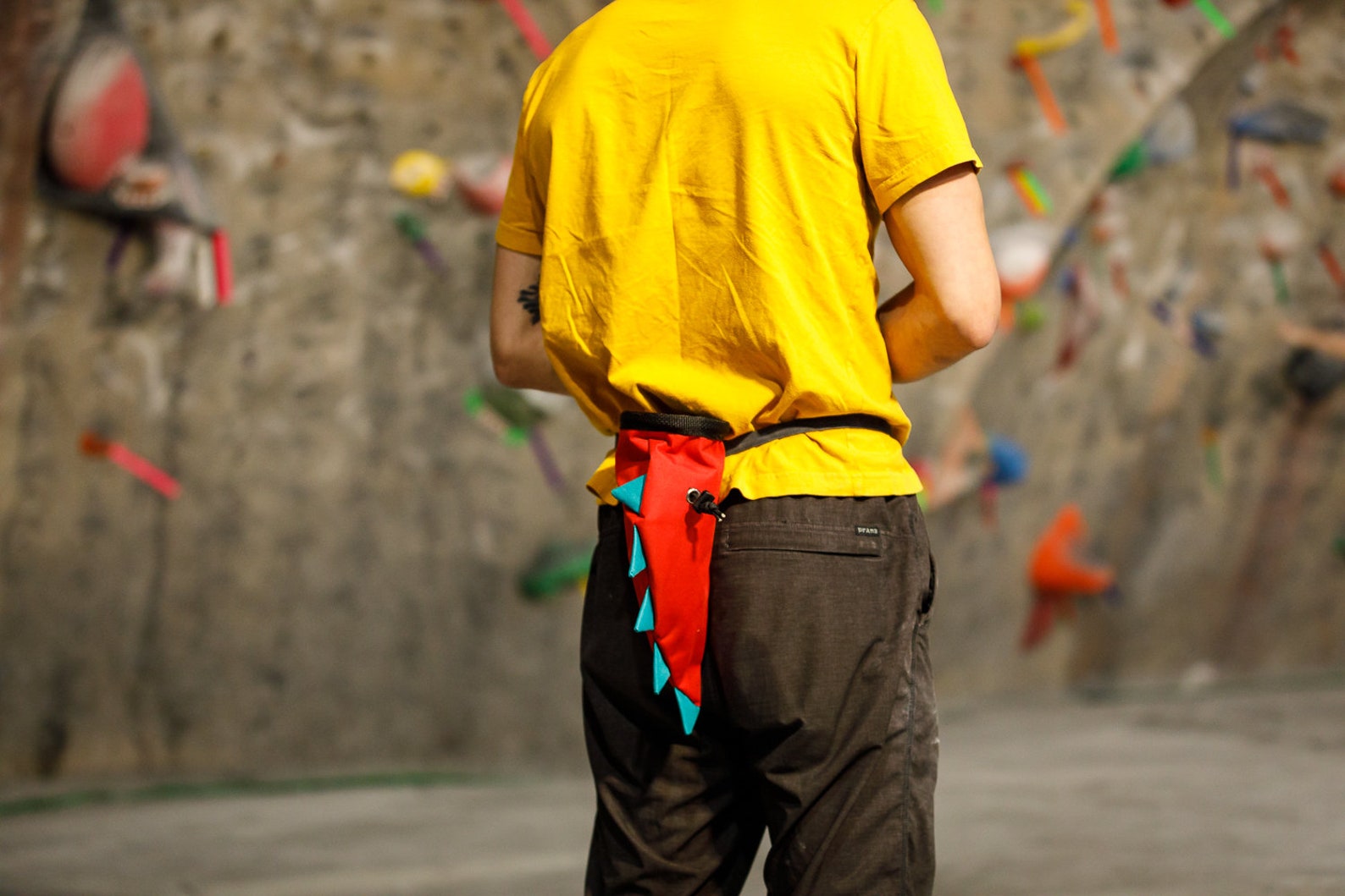 Crimp Chimps Original Friendly Dinosaur Tail Chalk Bag | Etsy