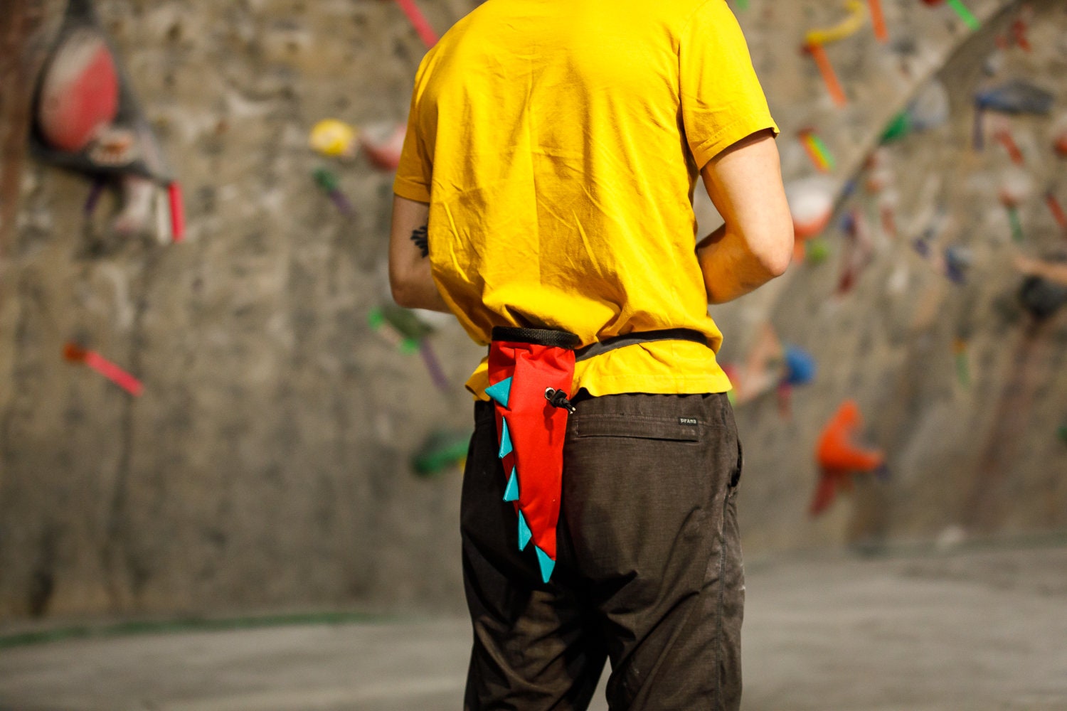 Crimp Chimps Original Friendly Dinosaur Tail Chalk Bag | Etsy