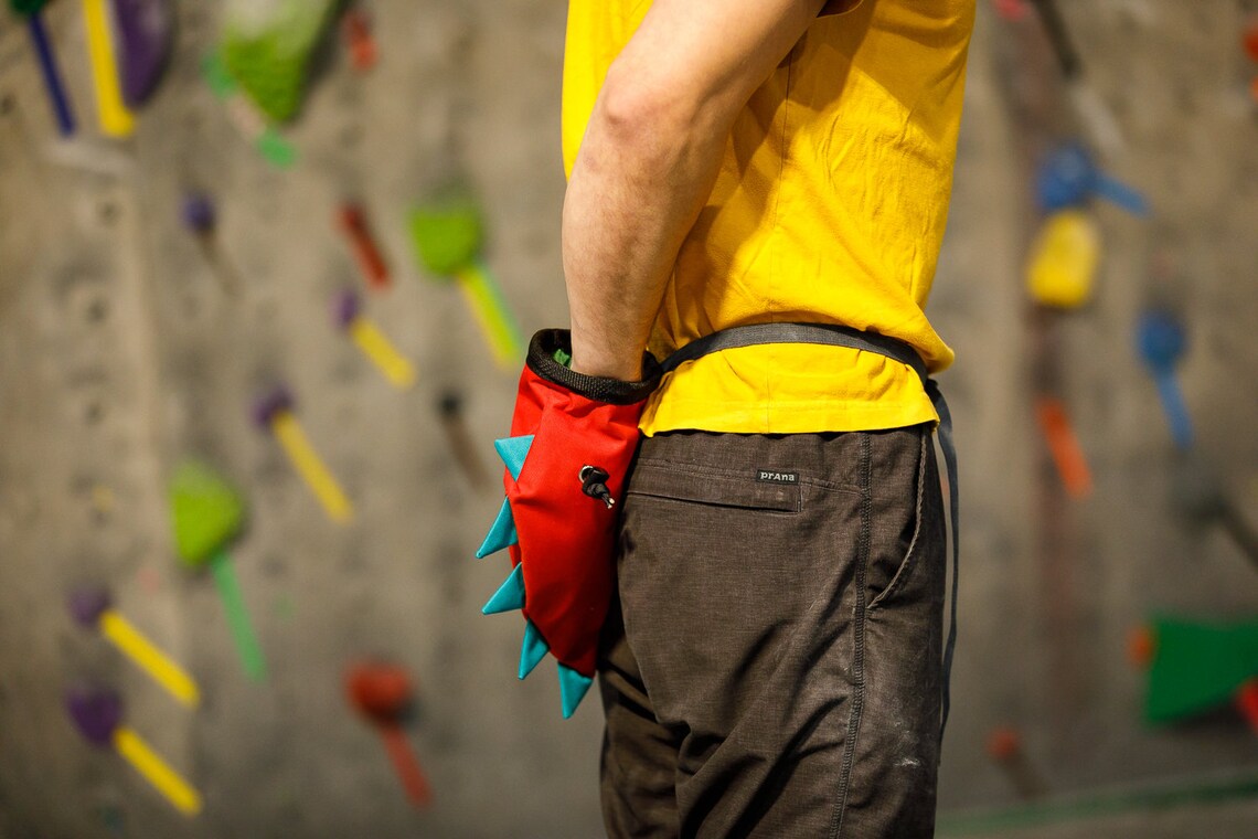 Crimp Chimps Original Friendly Dinosaur Tail Chalk Bag - Etsy