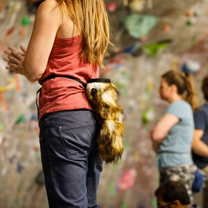 Crimp Chimps Original Calico Cat Tail Stuffed Animal Chalk Bag - Etsy